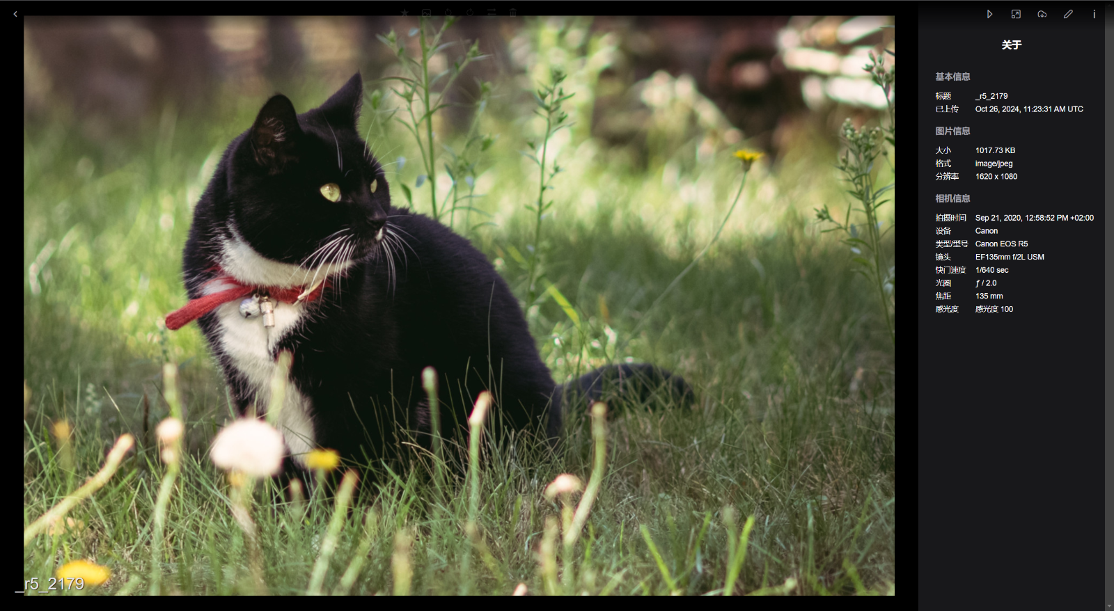 Lychee - 美观且方便地管理图片 | Docker应用吧